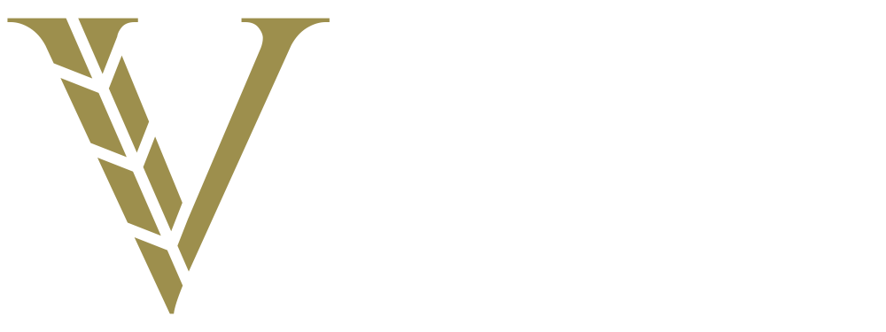 viseriongrain.com - Viserion Grain